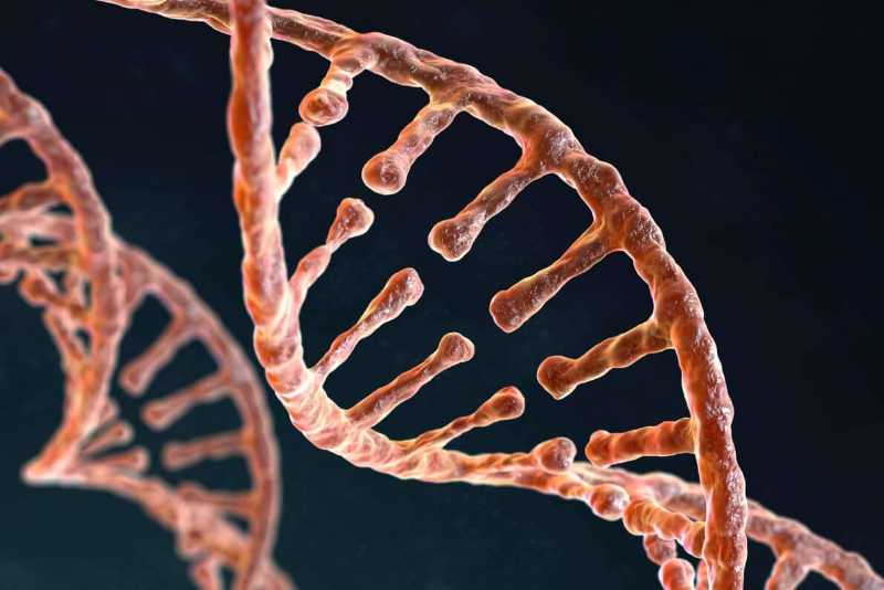 Genetic Testing - Australian Jewish Fertility Network