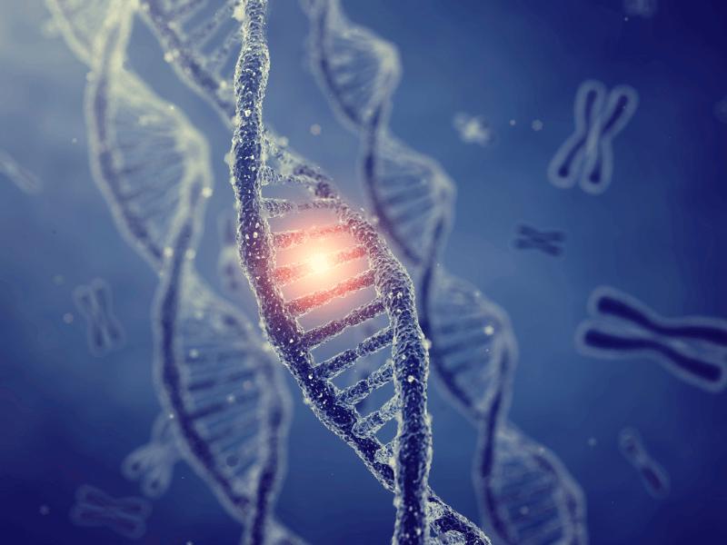 Preimplantation Genetic Testing for Genetic Conditions - Australian ...